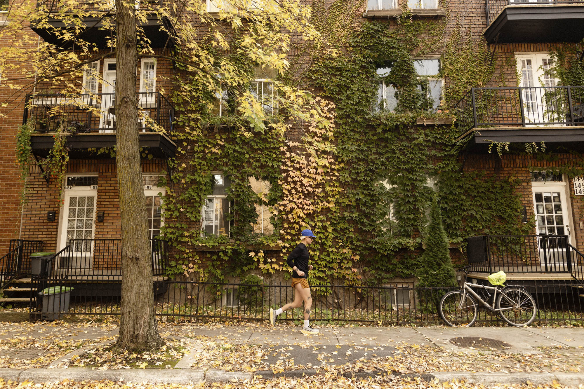 Embracing Change: Mastering Adaptation in Life and Wellness - Endorf